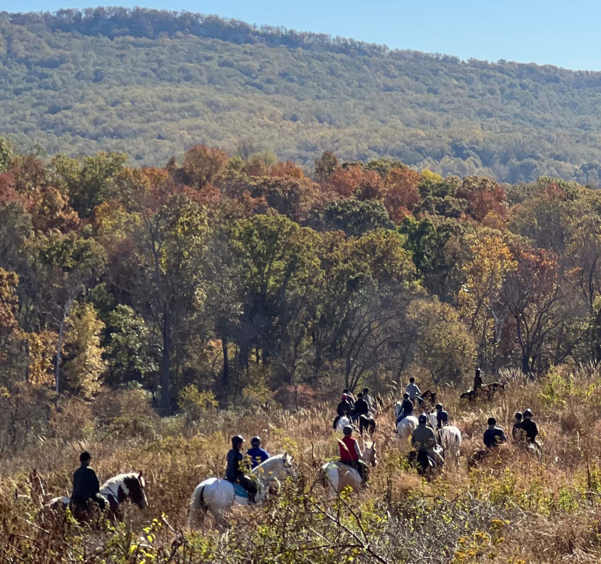 Events – OCH Conservation Foundation